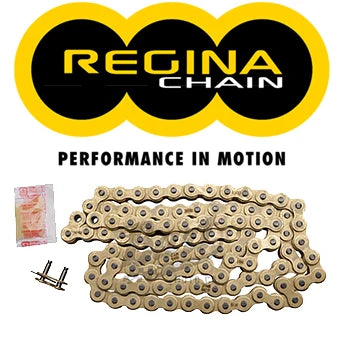 Regina Chain: Enhance Your Motorcycle's Power — Witchdoctors