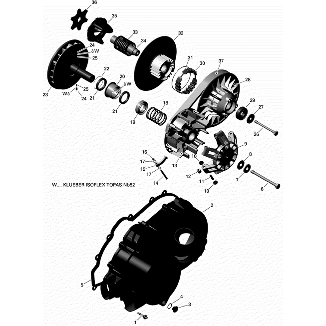 Can-Am Compression Spring, Driven Pulley #420238173 Witchdoctors
