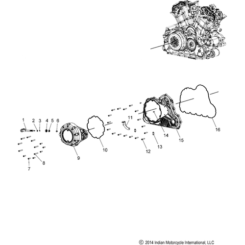 2019 Indian Scout 1200 Engine, Cover, Primary & Clutch Witchdoctors